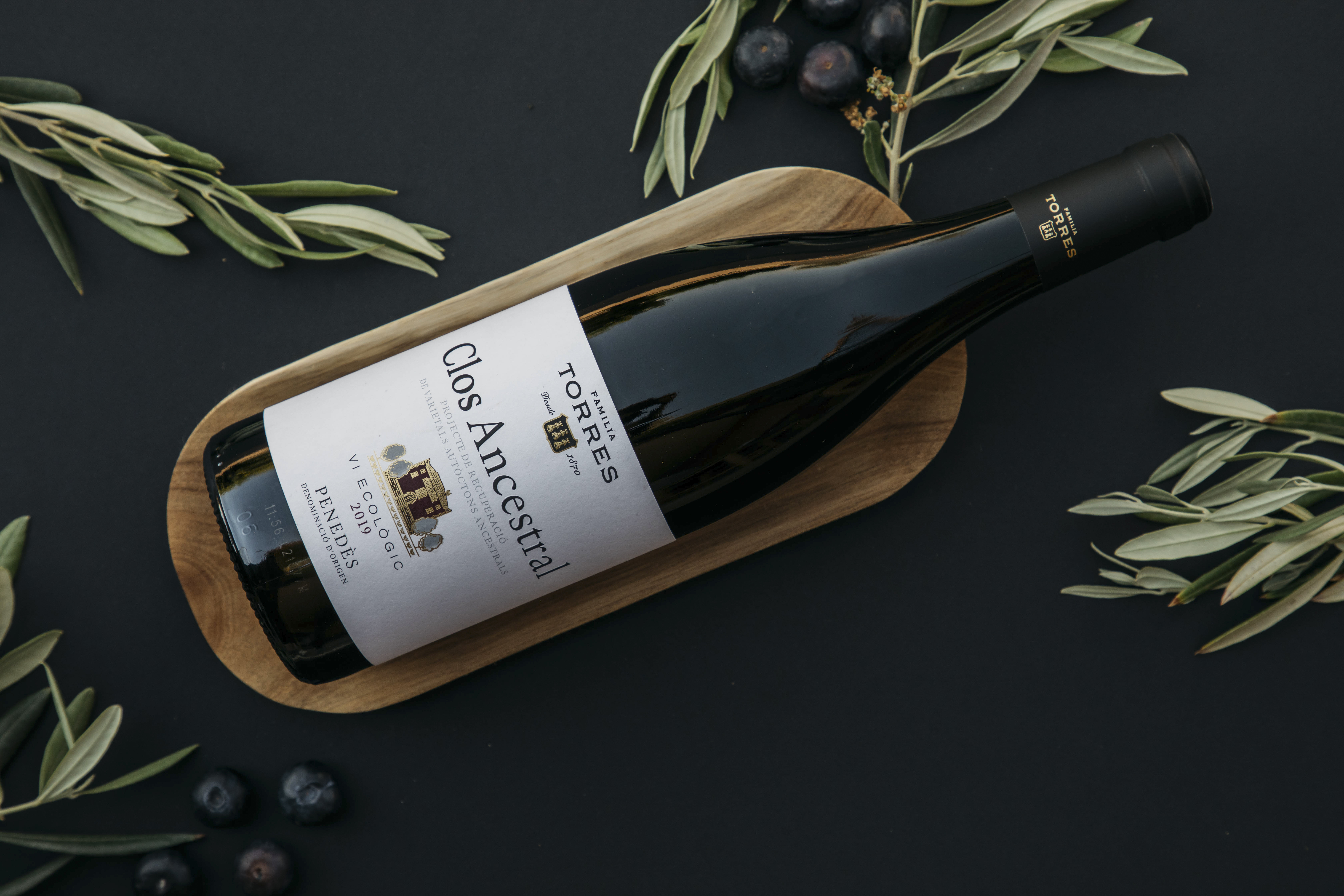 Familia Torres, one of the 10 Best Sustainable Producers in Spain in ...