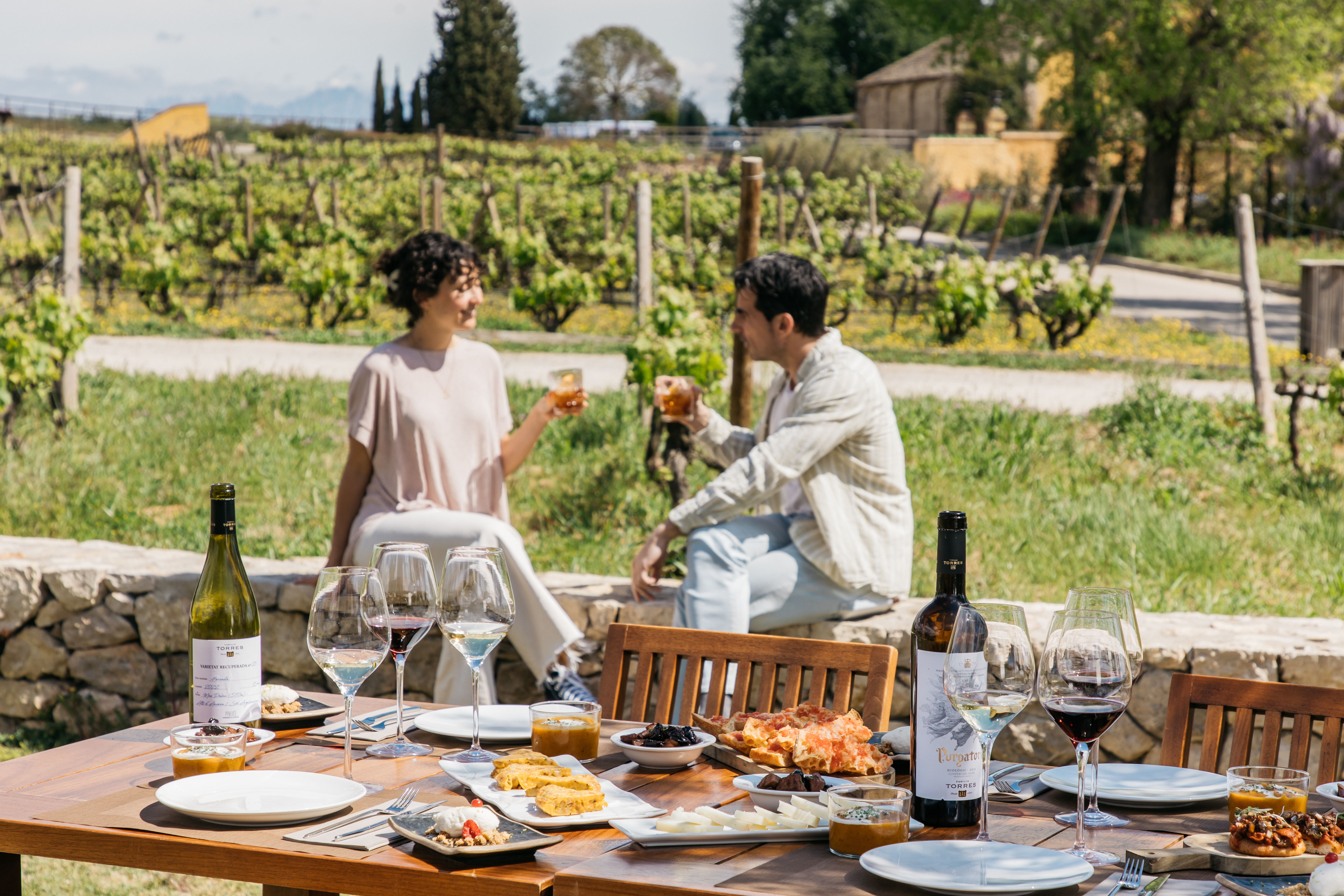 Tours and pairings | Familia Torres