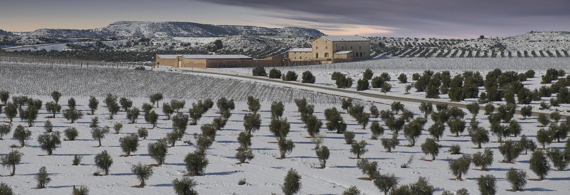 Purgatori | Purgatori