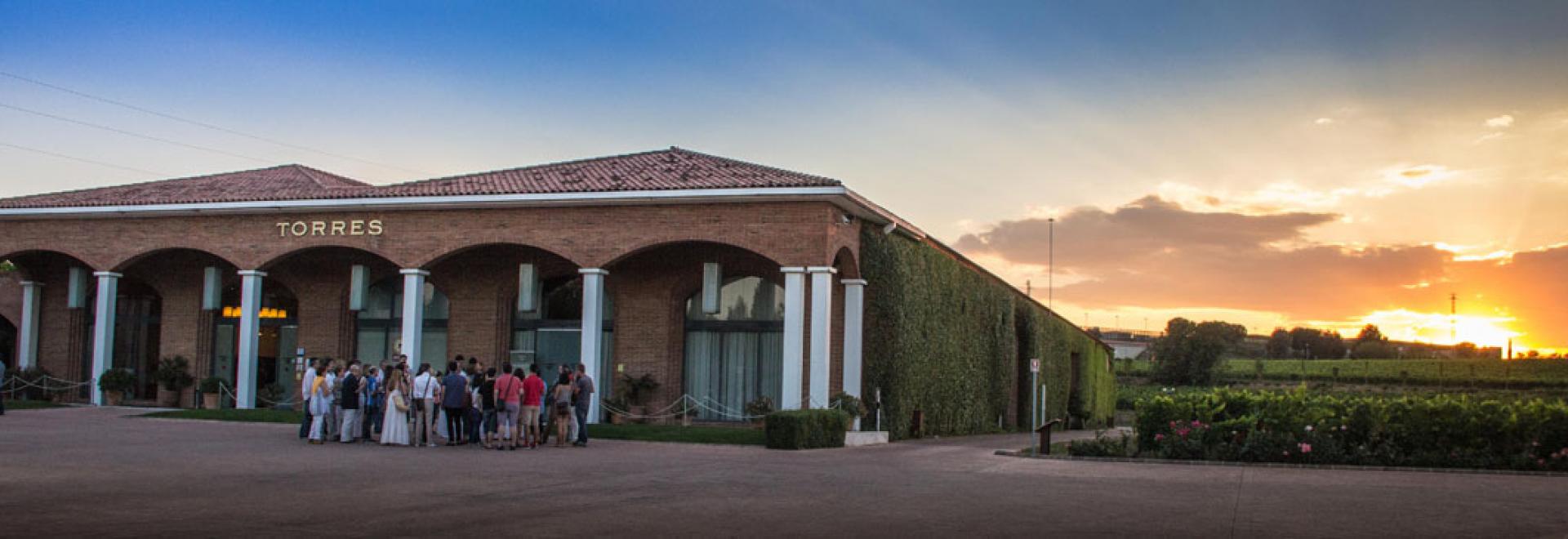 Bodegas Torres, ‘Best Wine Experience’ según la World Food Travel ...