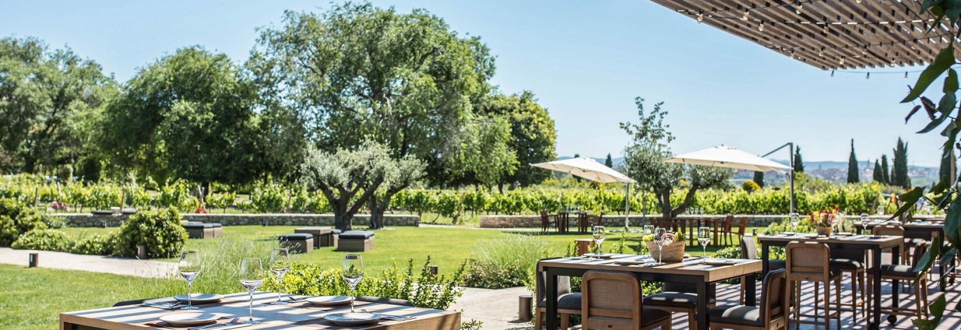 El Celleret, Familia Torres’s restaurant amid the vineyards, opens its ...