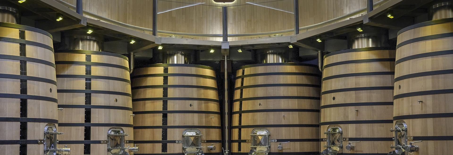 Familia Torres, la marca de vinos más admirada del mundo según los ...
